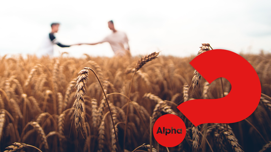 L'année Alpha : un an pour souder la paroisse de Vélizy